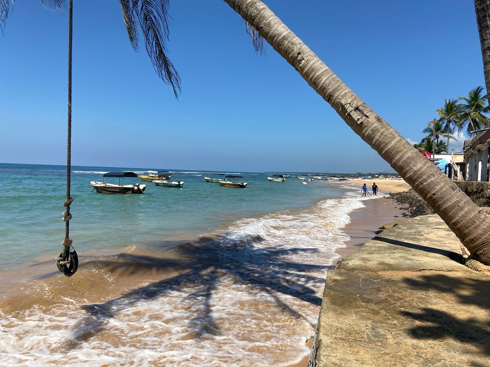 Palms and Paradise Lanka | Explore Sri Lanka