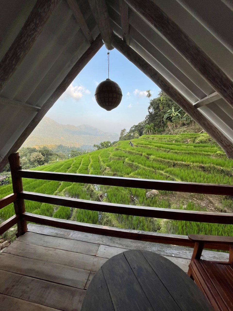 Palms and Paradise Lanka